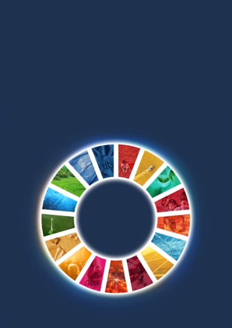 Sustainability Strategy | Accenture