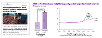 Current State of Global Air Cargo Industry Capacity | Accenture