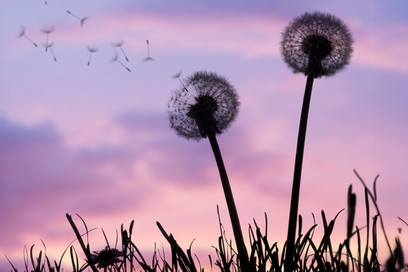 Accenture Development Partnerships | Accenture