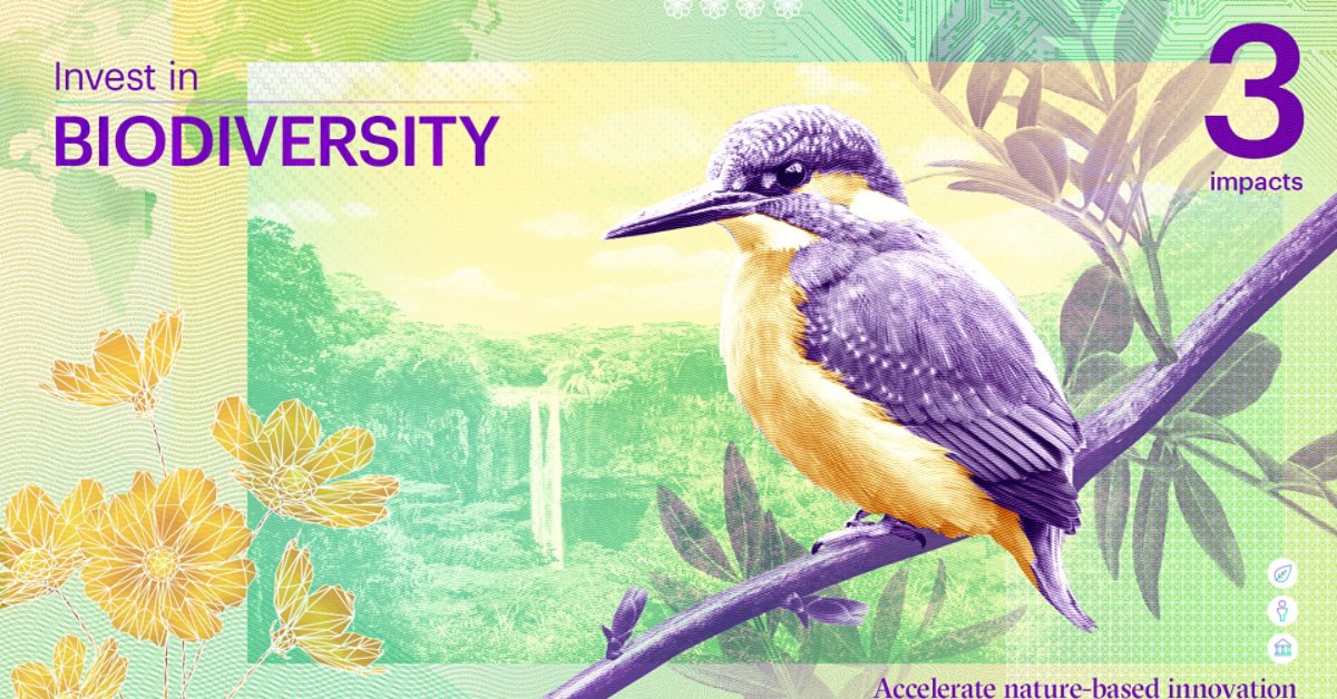Rebalancing The Books on Nature and Biodiversity | Accenture