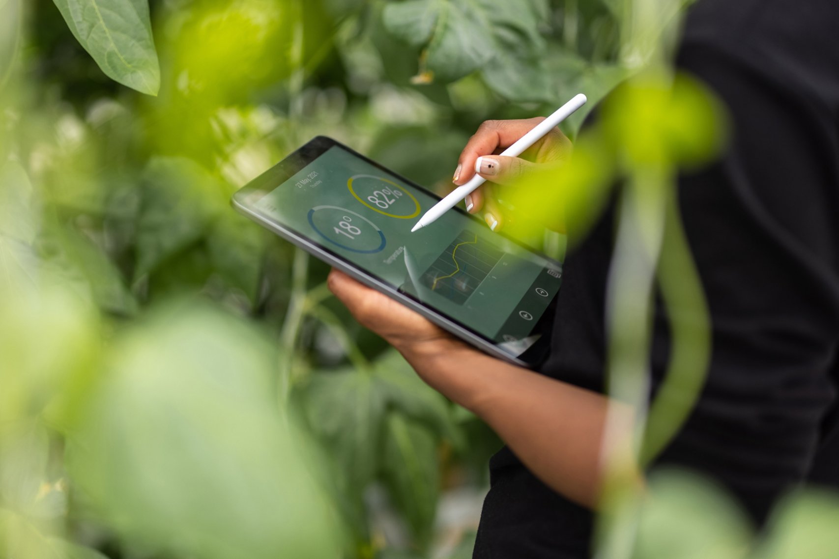 Sustainability Strategy | Accenture