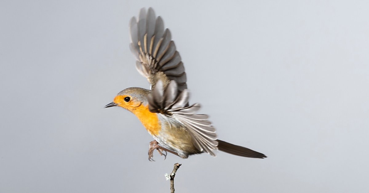 Splunk + Accenture サービス | Accenture