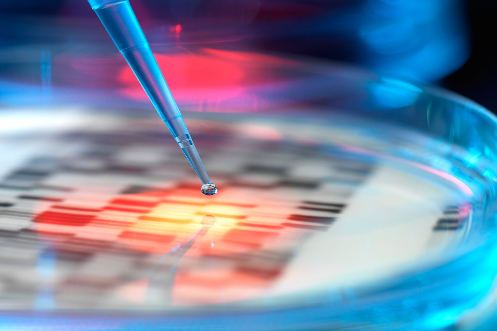 Bionest | Innovation in Life Sciences | Accenture