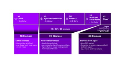 Growth With Biomass-Based Chemicals