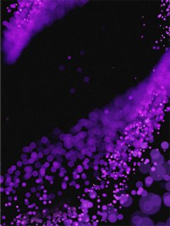 ServiceNow Partners: Automation & Implementation | Accenture