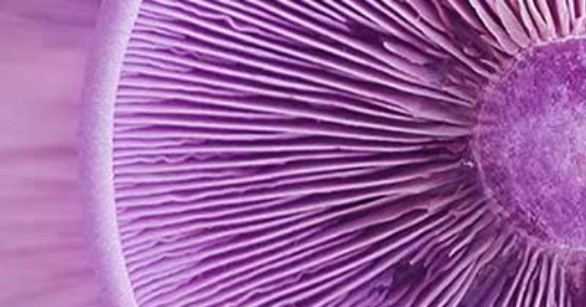 Artificial Intelligence (AI) Services & Solutions | Accenture