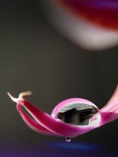 360⁰ Value Integrated Reporting | Accenture